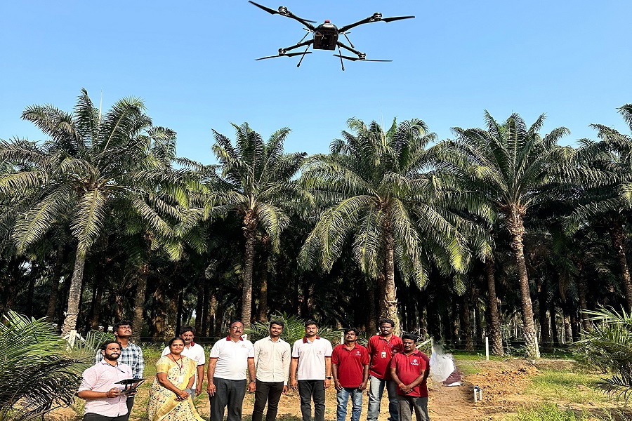 Tech Meets Agriculture: 3F Oil Palm Employs Drones for Tree Counting ...