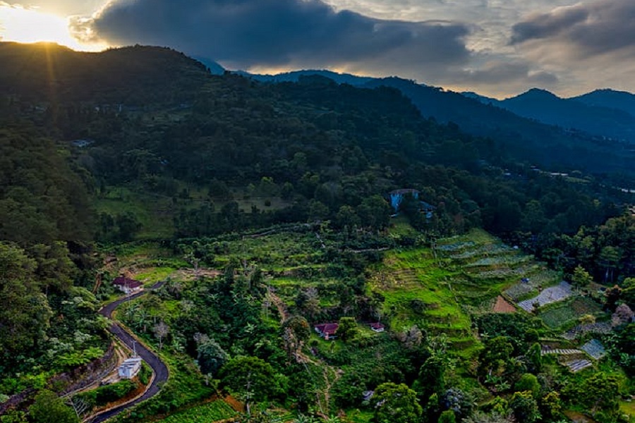 Ecotourism: The Future of Sustainable Travel